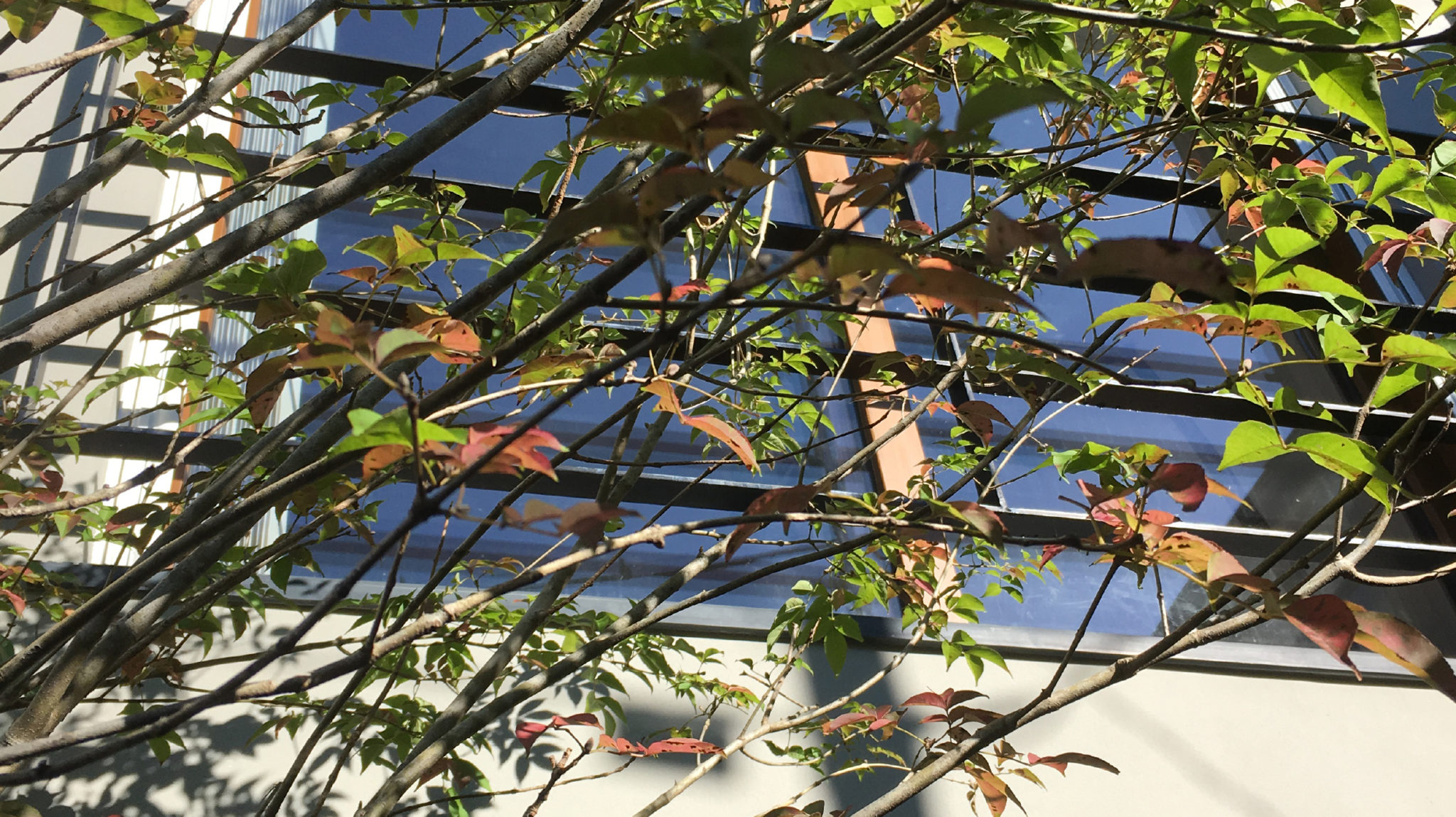 設計について - Mateni