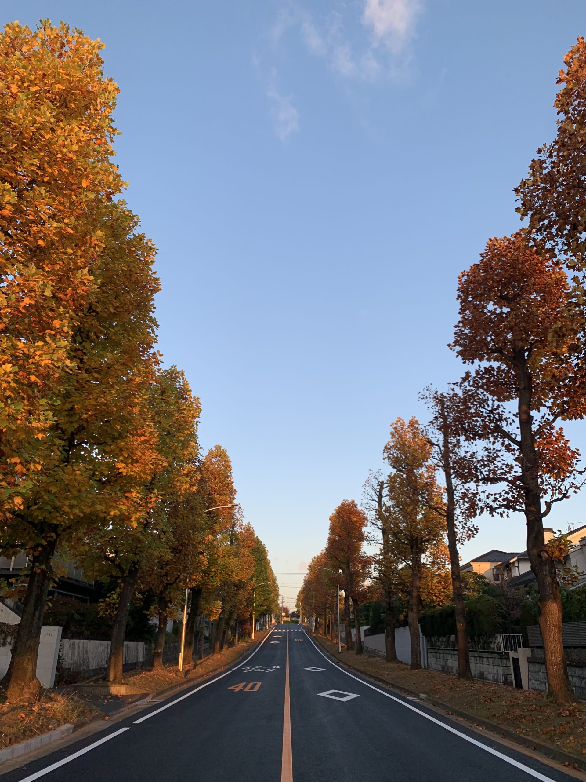 11月ワークショップのお知らせ - Mateni