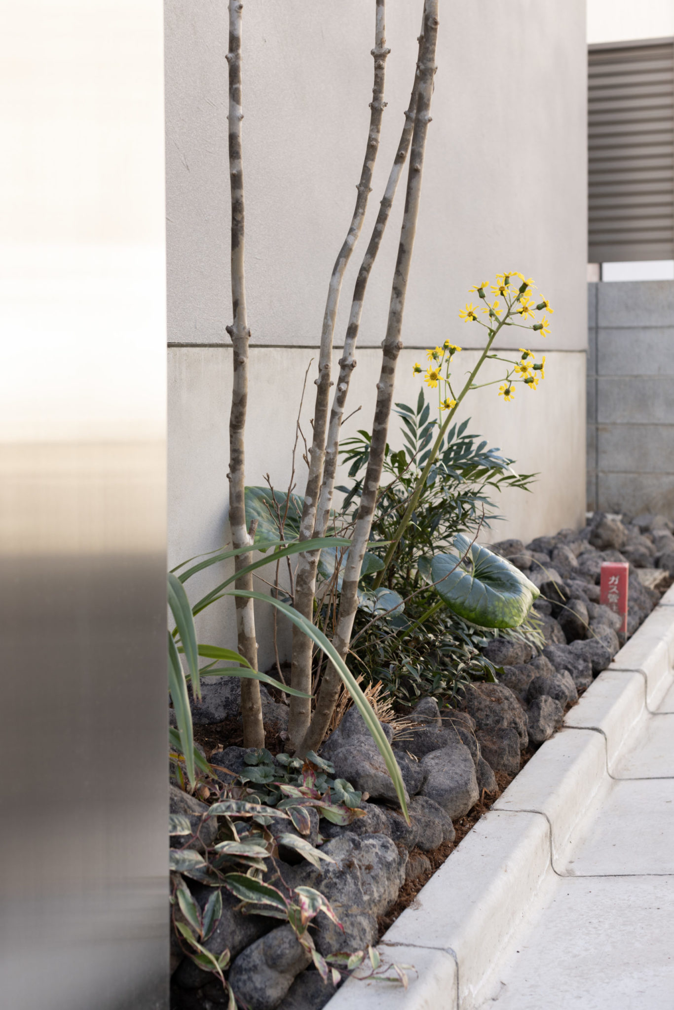 季節を縁取る、家族のはじまり - Mateni